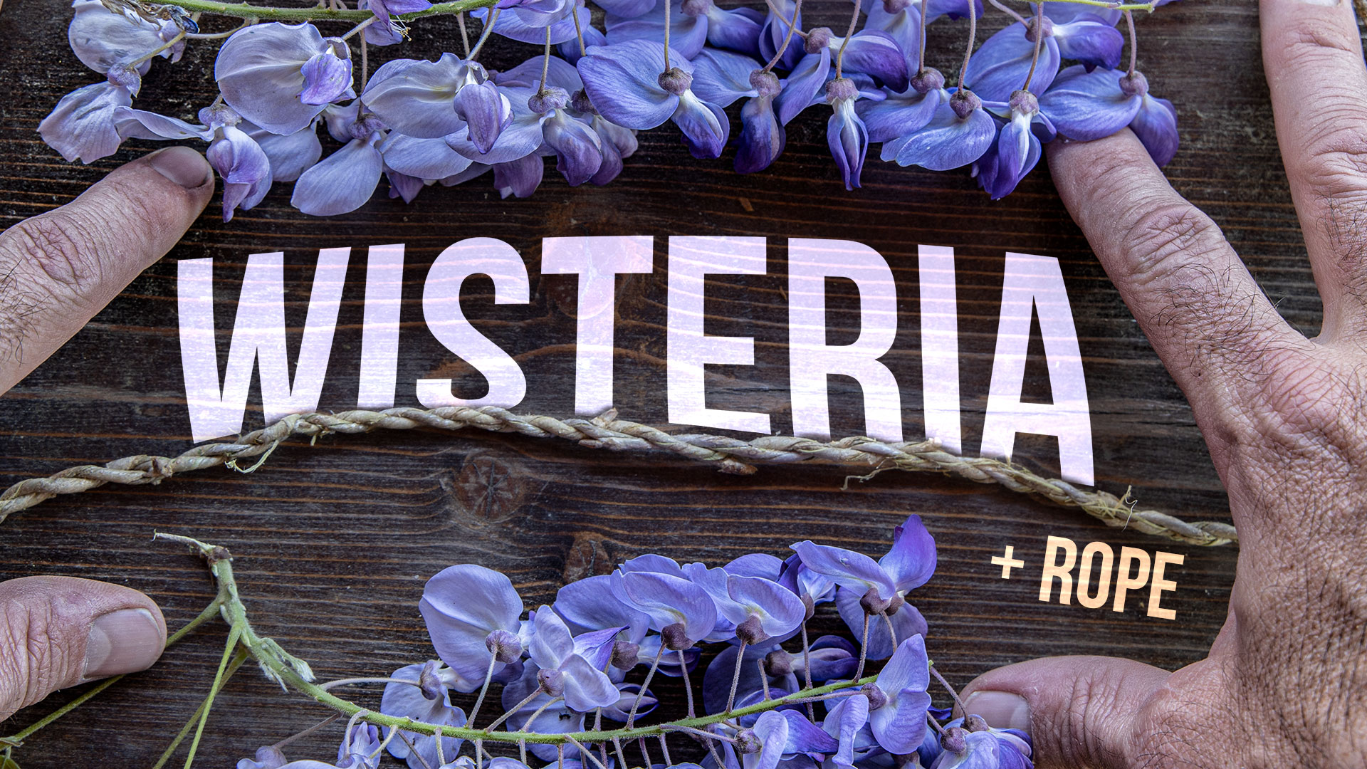 Wisteria And Making Rope - Stone Age Man