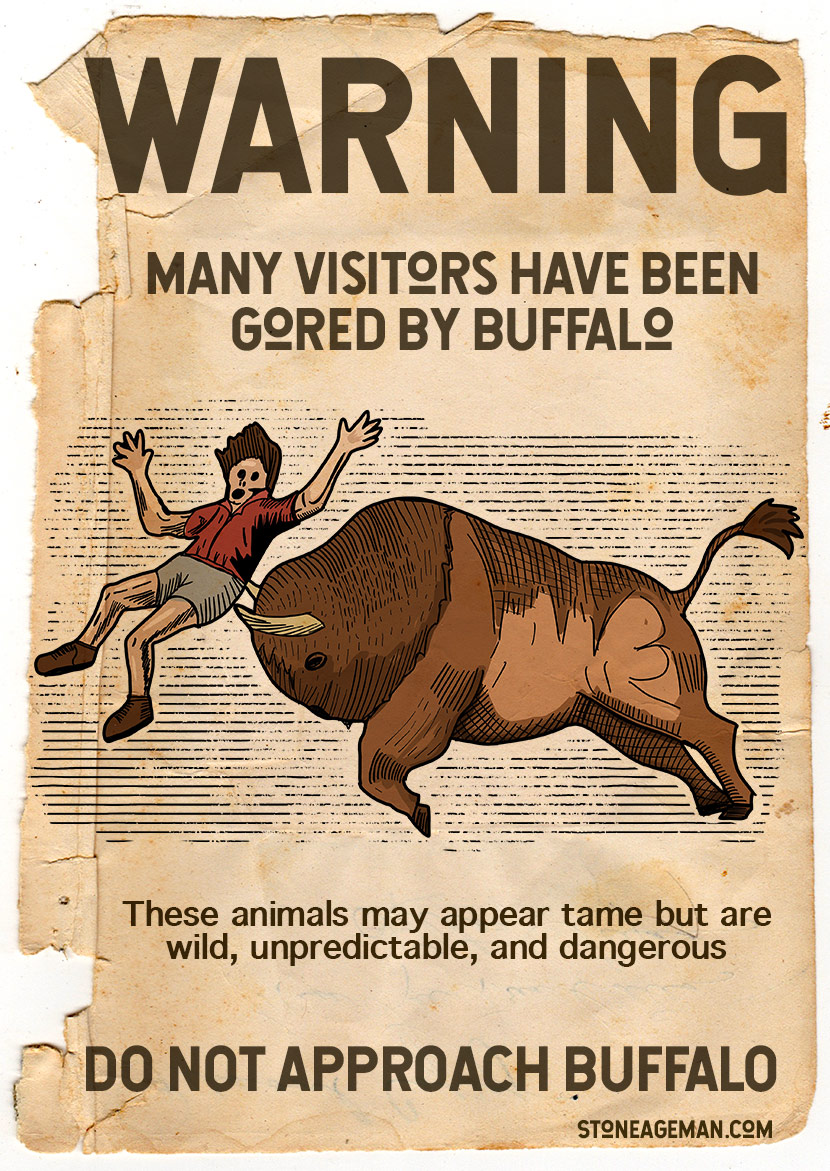 What to do if a Bison (Buffalo) Attacks - Stone Age Man
