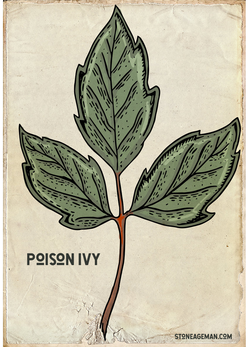 How to Identify, Avoid, Treat and Survive Poison Ivy - SCIENCE 101