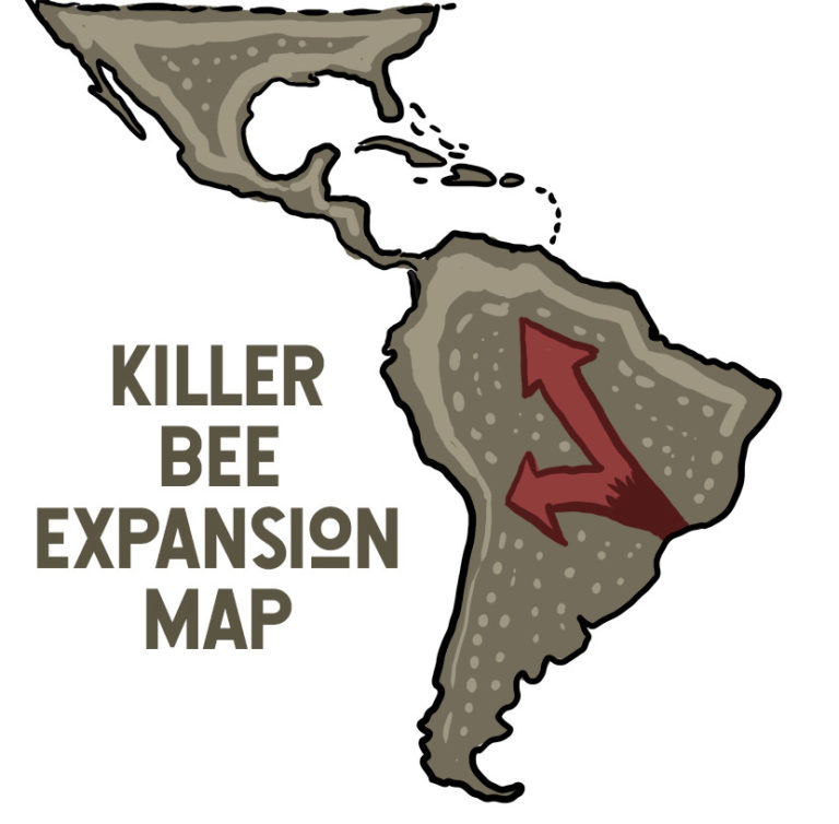 Surviving Killer Bees (Africanized Honey Bees) - BEE BASICS