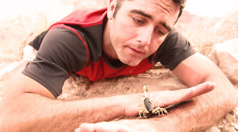 How to Survive a Scorpion Sting : Scoprion Basics