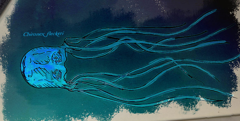 How to Survive a Box Jellyfish Sting (According to Science)